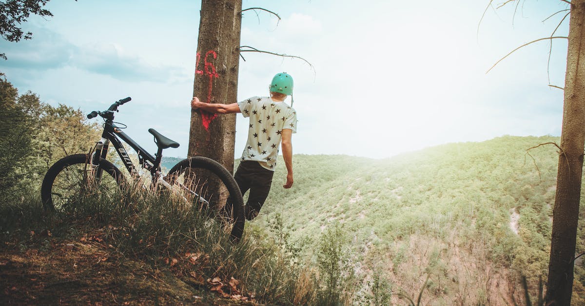 Berm DEFINITION AND MEANING – Rehook