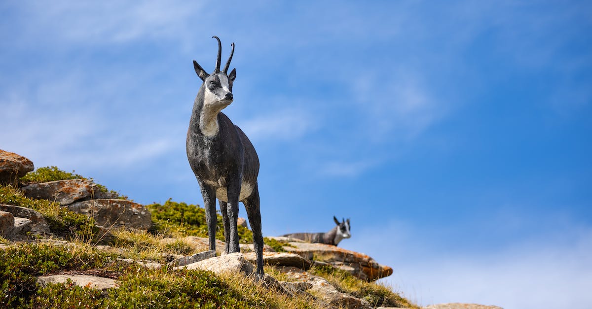 biker rash DEFINITION AND MEANING – Rehook