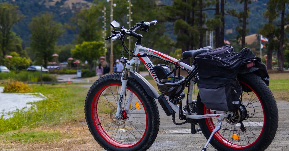 Saddlebag or Panniers DEFINITION AND MEANING – Rehook
