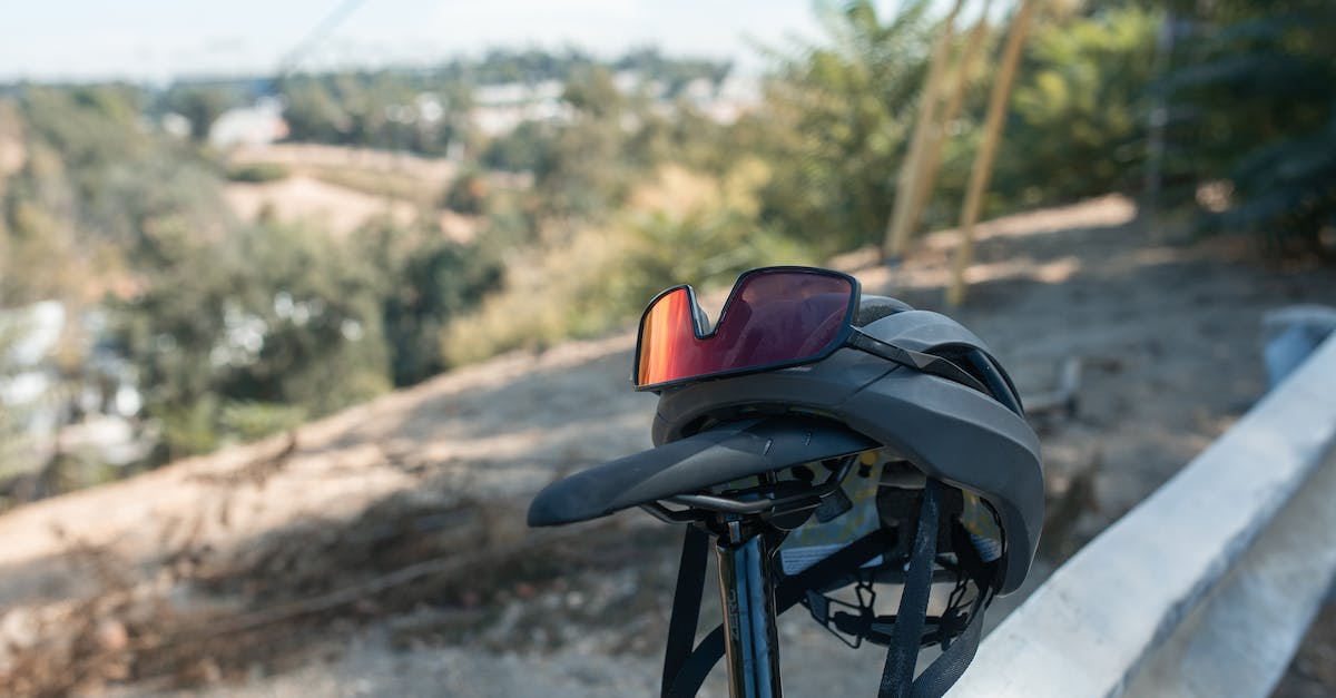 Bash Guard DEFINITION AND MEANING – Rehook